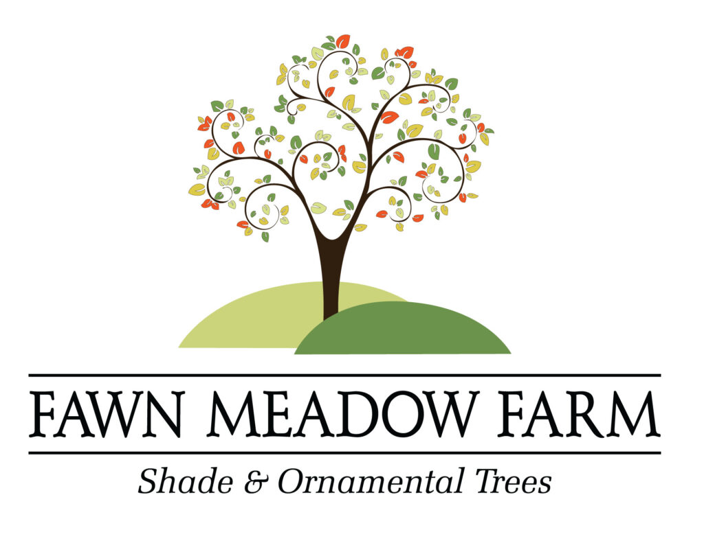 Fawn Meadow Farm - Fawn Meadow Farm